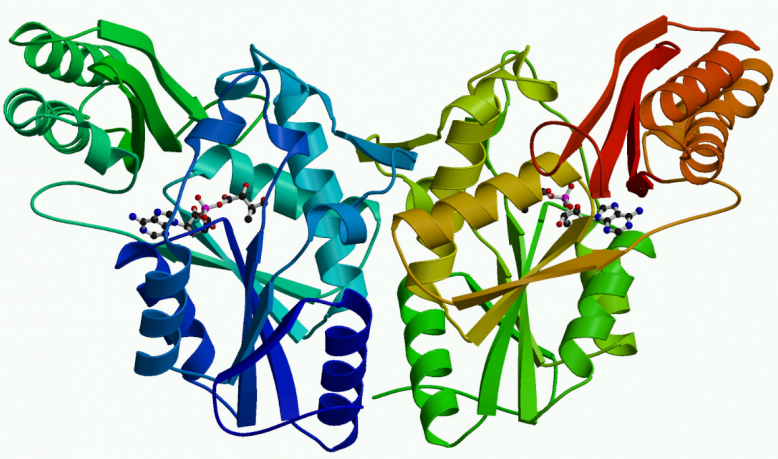 20 Jenis Asam Amino - Generasi Biologi