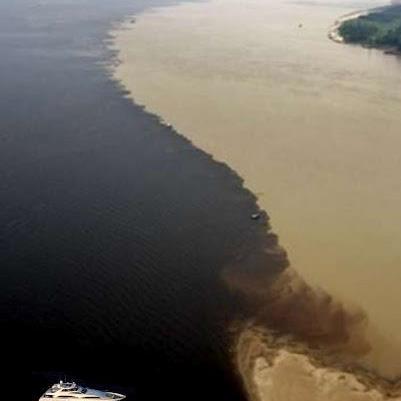 Amazing World: Meeting of the Two Rivers in Brazil