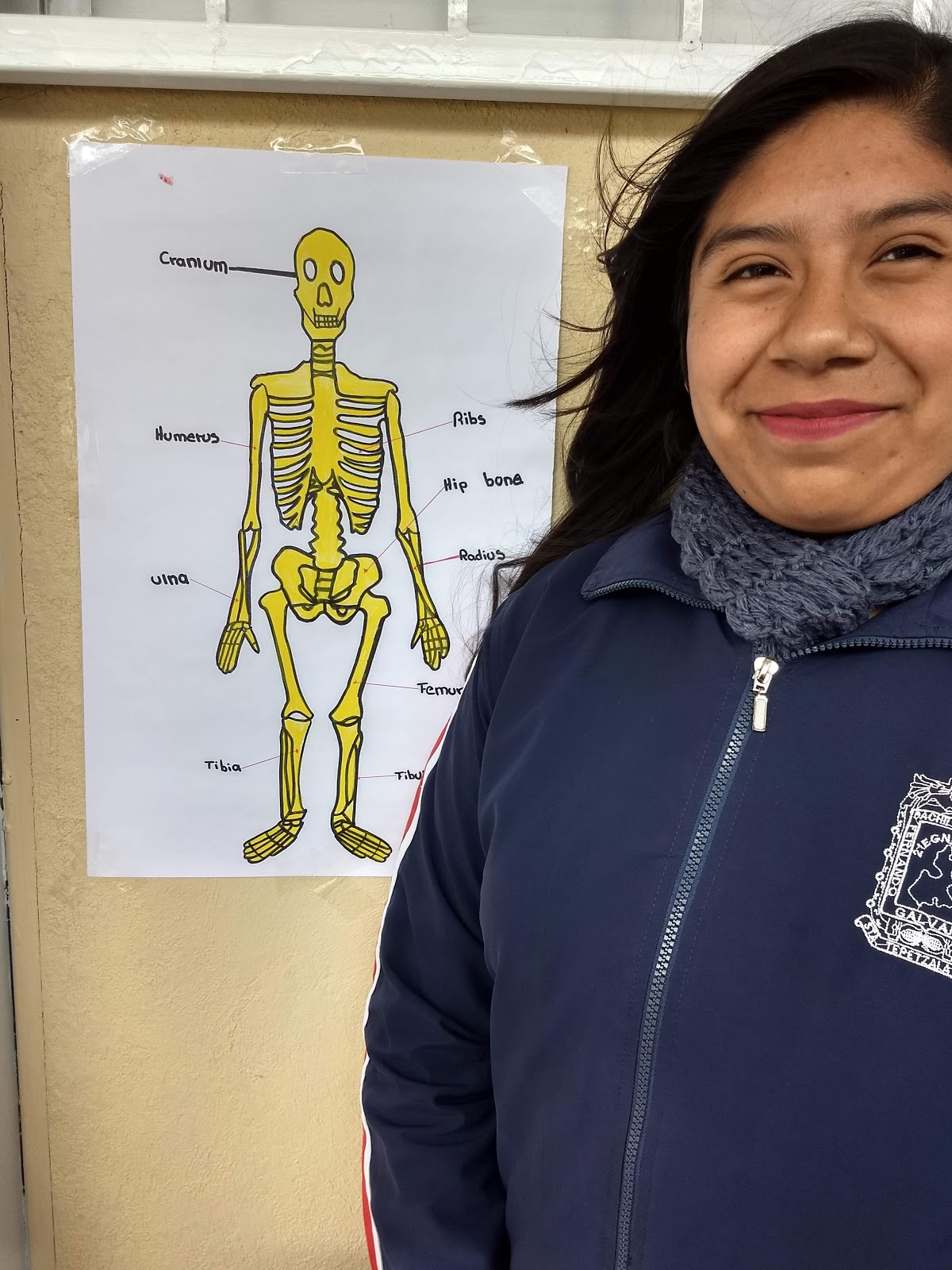 Blog Miss Isabel Cadena Arreola: Parts of the body!!