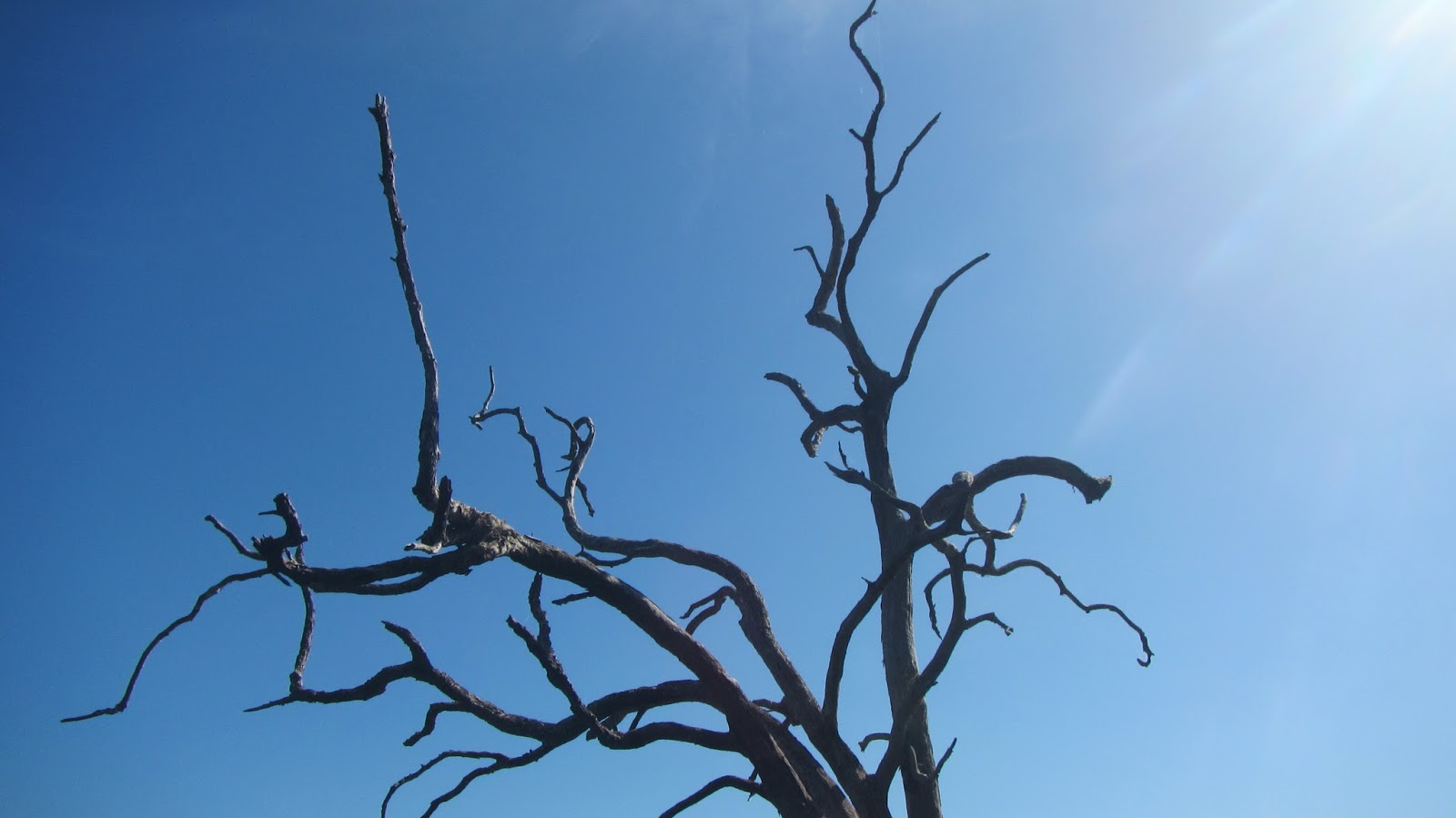 ROCK'S ADVENTURES: CENTRAL COAST - COCKRONE (COPACABANA) LAGOON - KAYAK ...