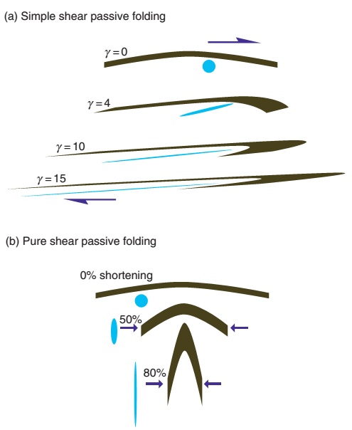 Learning Geology: Folding: mechanisms and processes