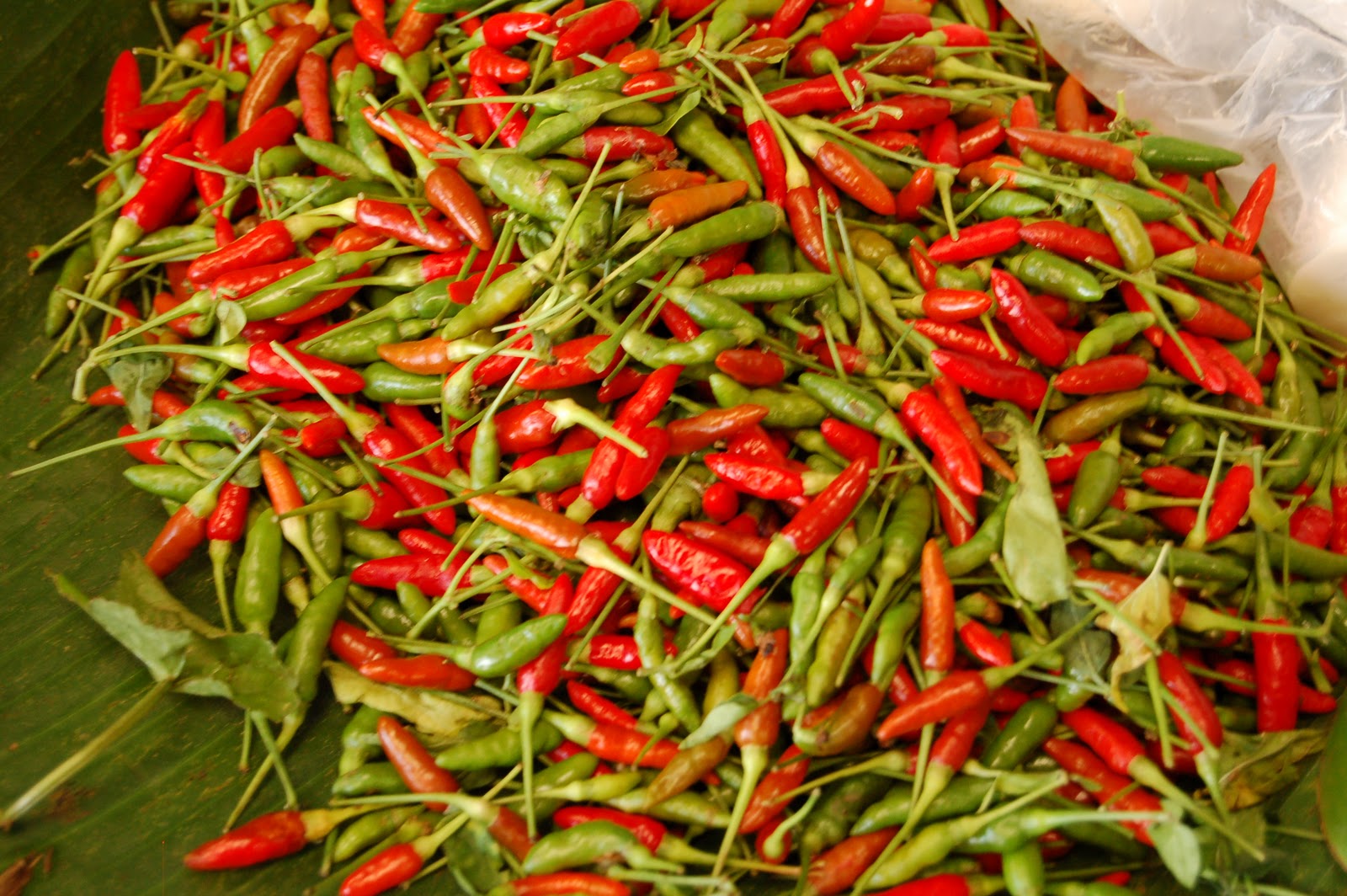 Loose Strings: Thai Farm Cooking School