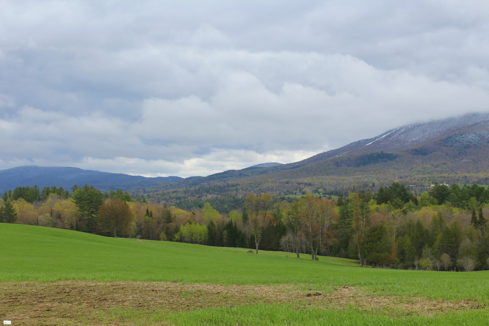 Wildflower Inn (Lyndonville, Vermont) | Caravan Sonnet