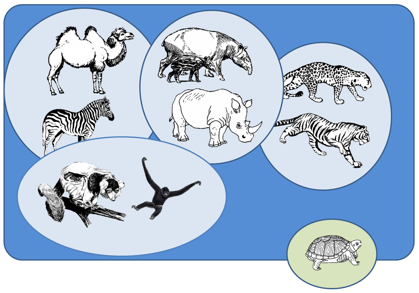 exzuberant: A visit to the Function Zoo