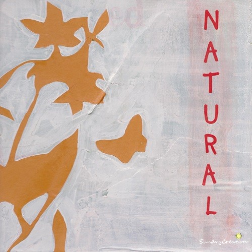 Mixed Media Nature Art (Natural Beauty)