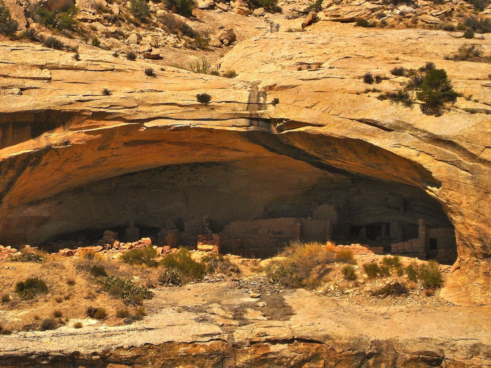 The Southwest Through Wide Brown Eyes: Butler Wash's Roadside Ruin ...