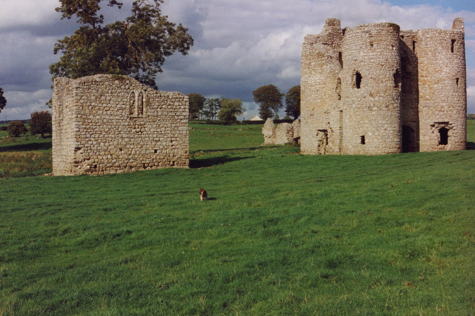 Books We Love Insider Blog: The Kavanagh Clan and the elusive Leprechaun