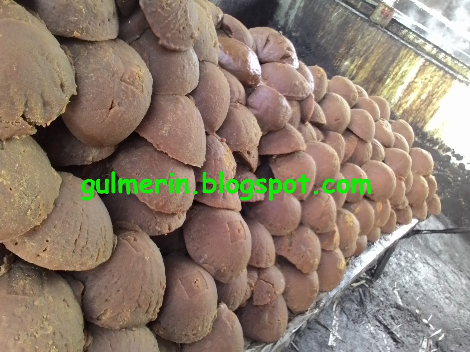 GULA MERAH INDONESIA: gula merah lombok gula kelapa lombok gula aren lombok