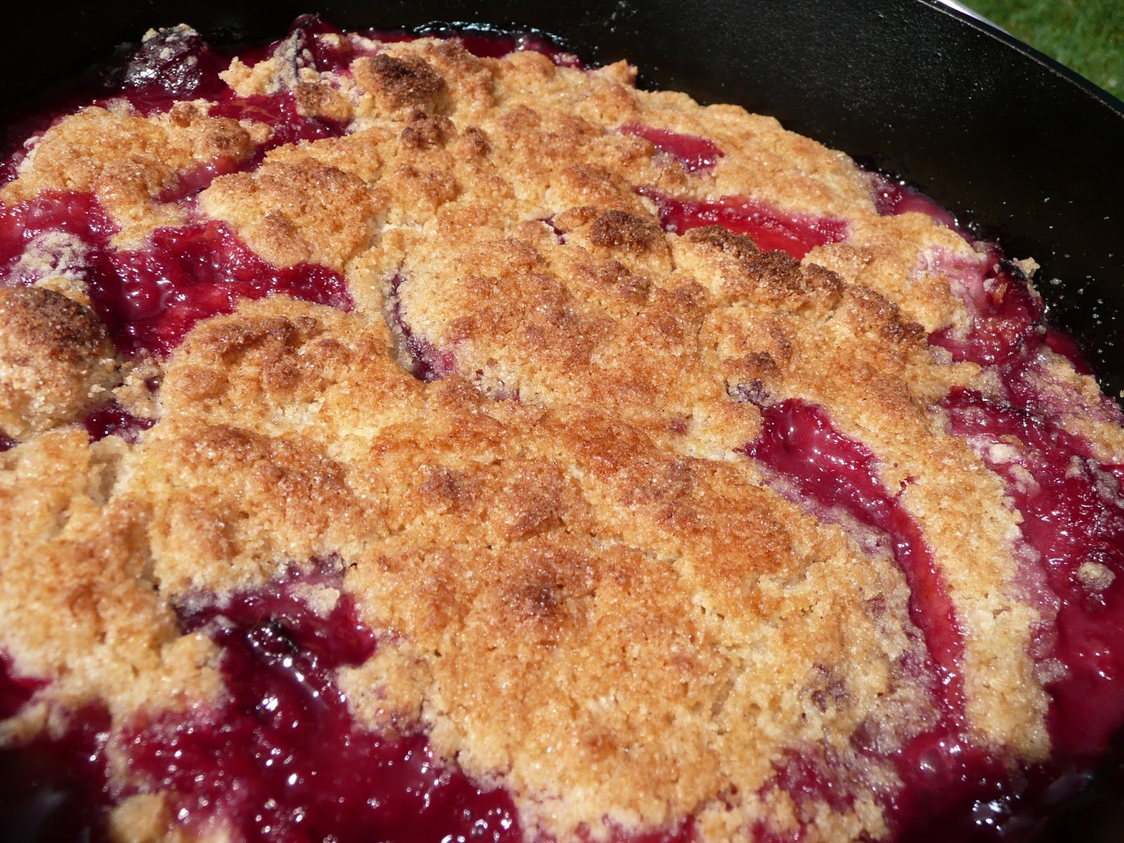 Everyday Dutch Oven: Plum Crumble