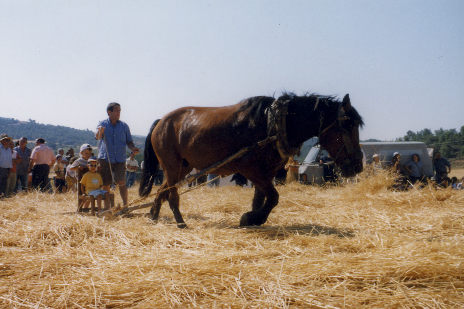 LA TRILLA | MUSEO VIRTUAL