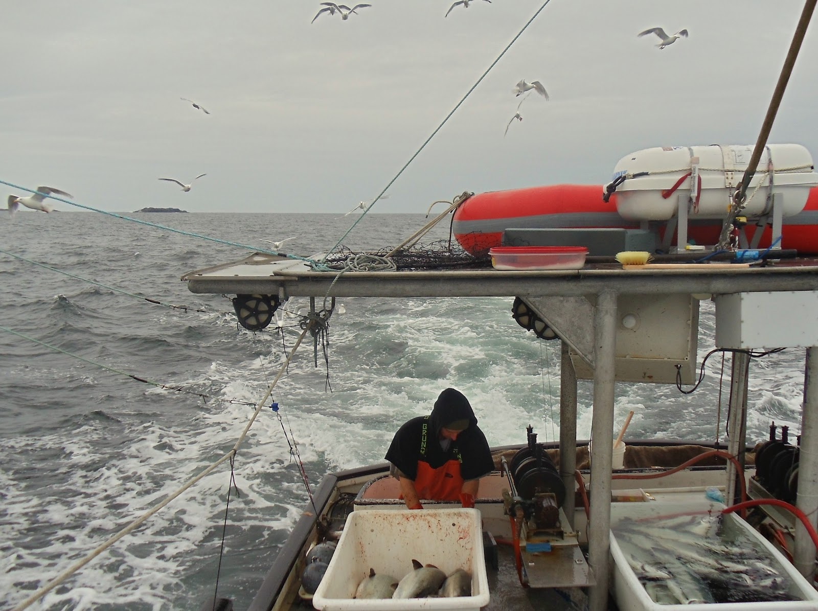 Sandra's Alaska Photography: Late-August 2012: Commercial Fishing ...