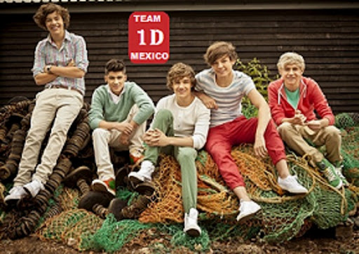 Team One Direction Mexico