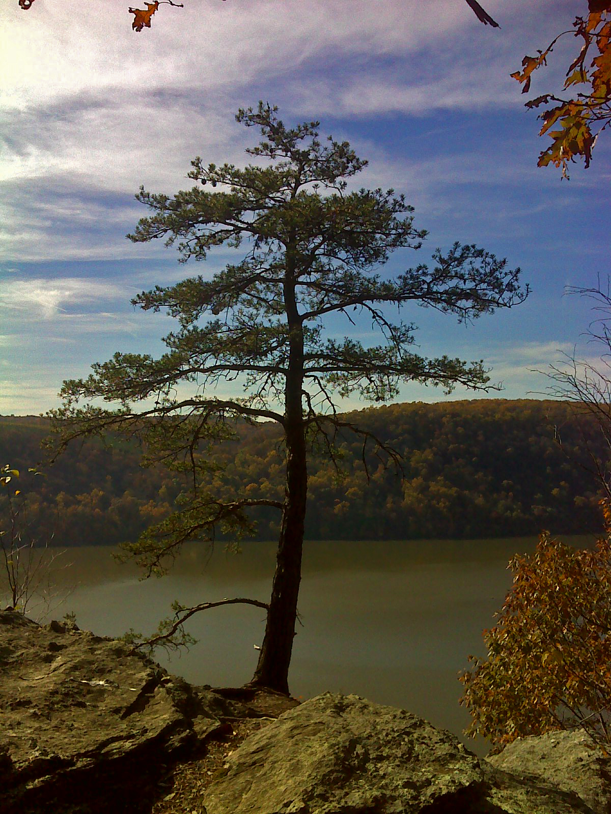 Heart and Sole: Susquehanna Sweet Spot - the Conestoga Trail