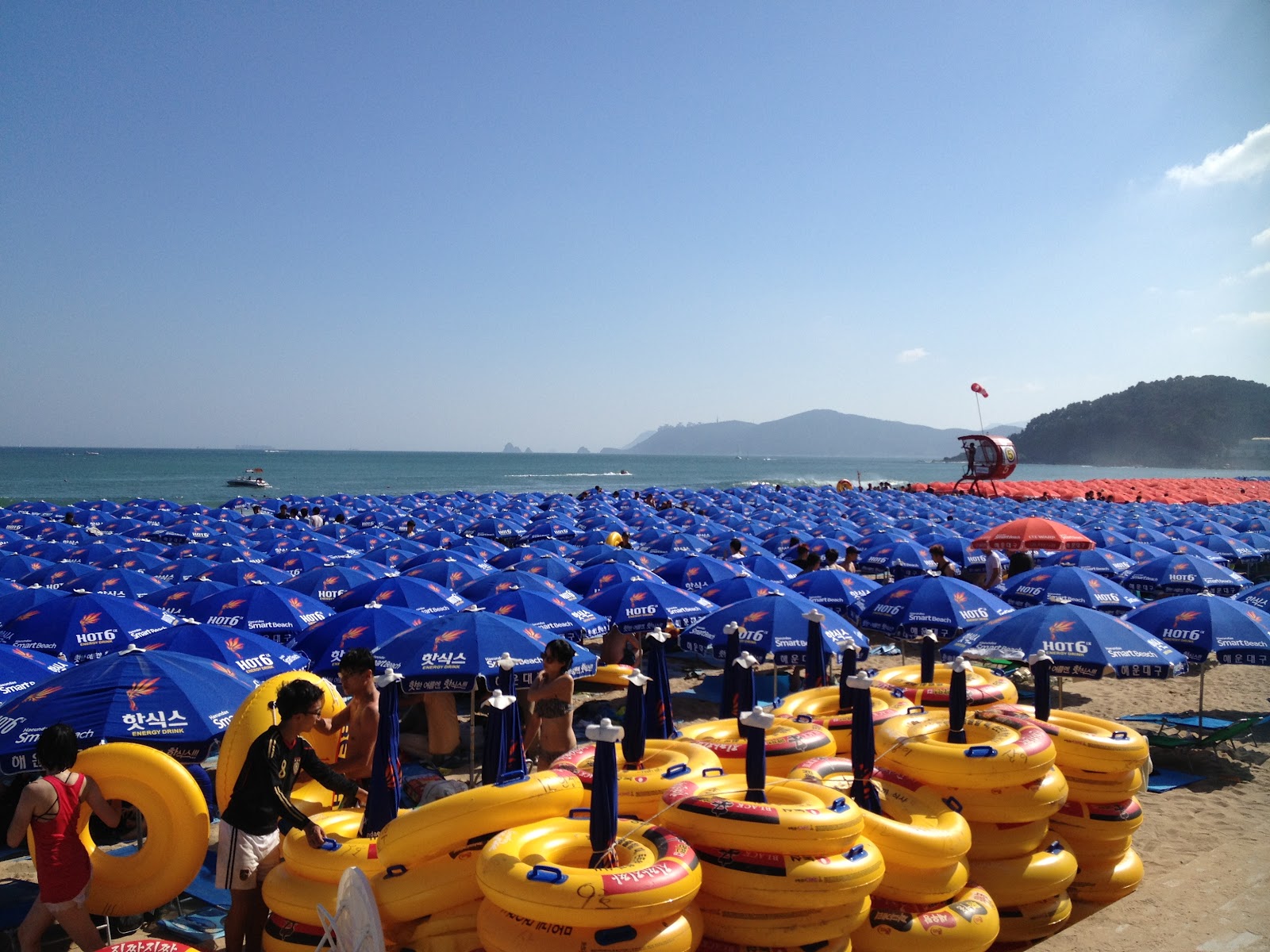 Exploring South Korea: Summer Update