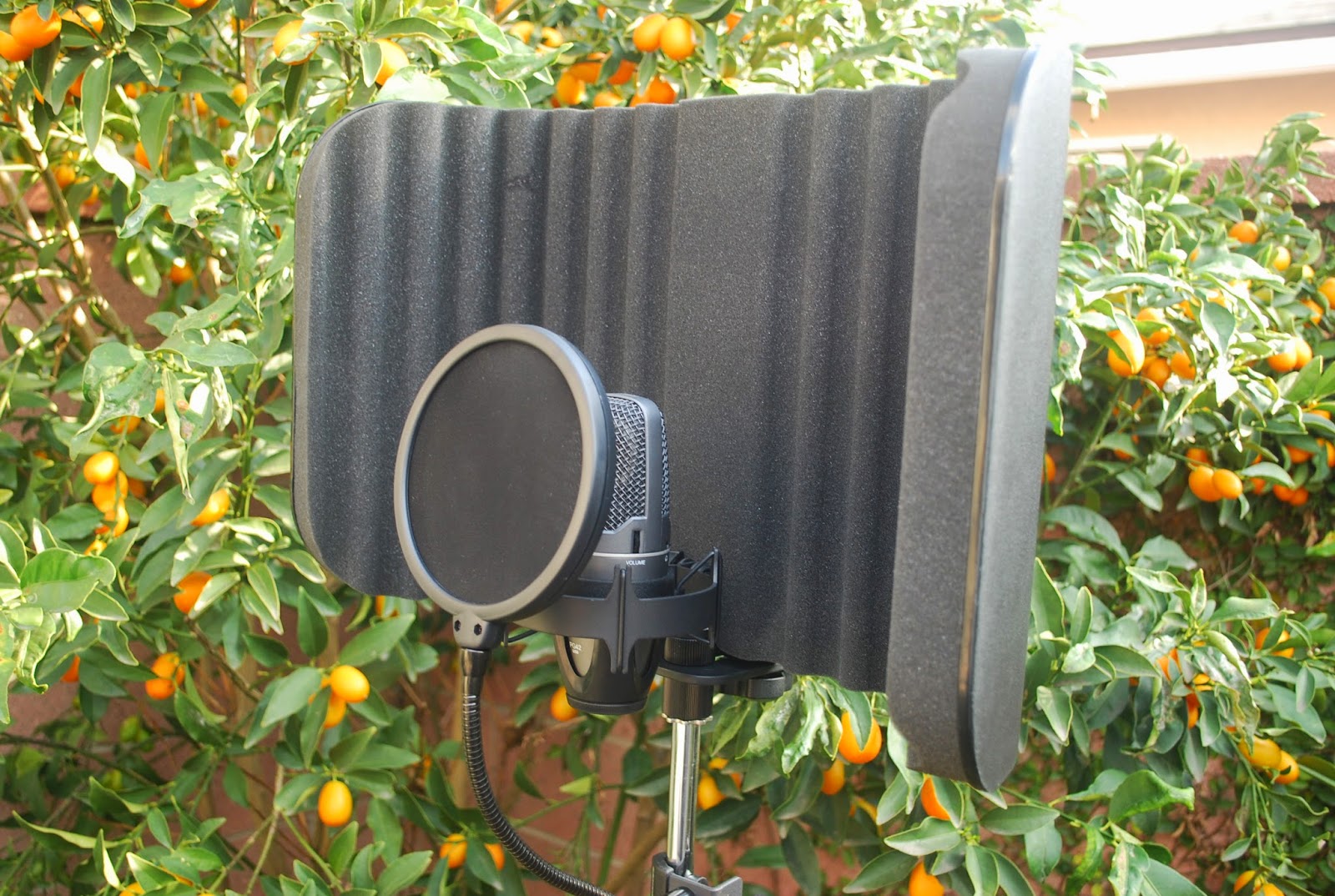 Rex and the Bass: Review: Post Audio ARF-68 Ambient Room Reflection Filter