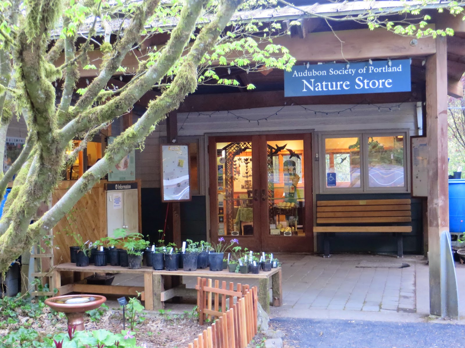 Creating Habitat in Your Backyard: Backyard Habitat Certification Program