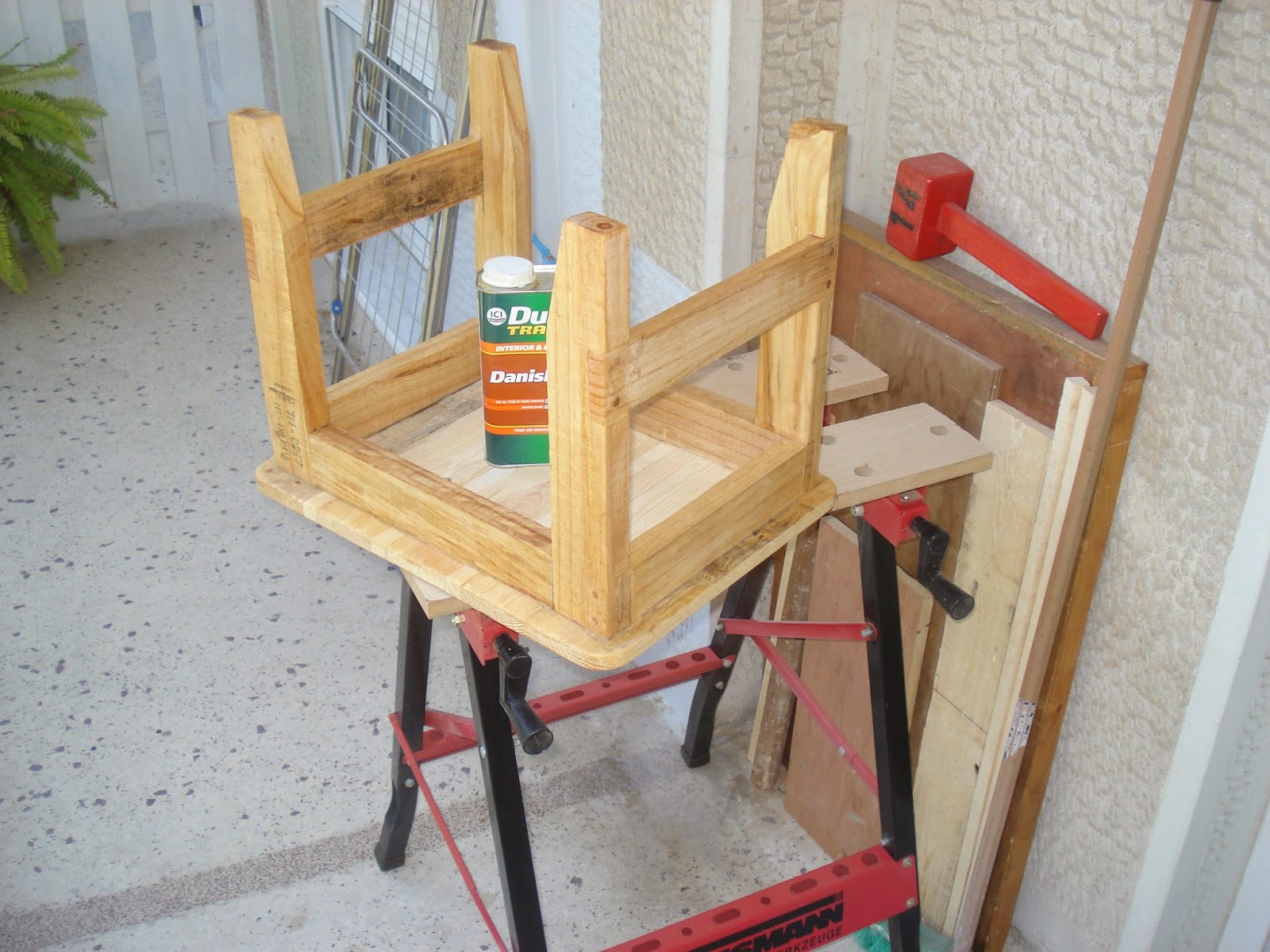 ΜΟΛΟΧΑΝΘΗΣ: ΝΕΟ ΣΚΑΜΝΑΚΙ