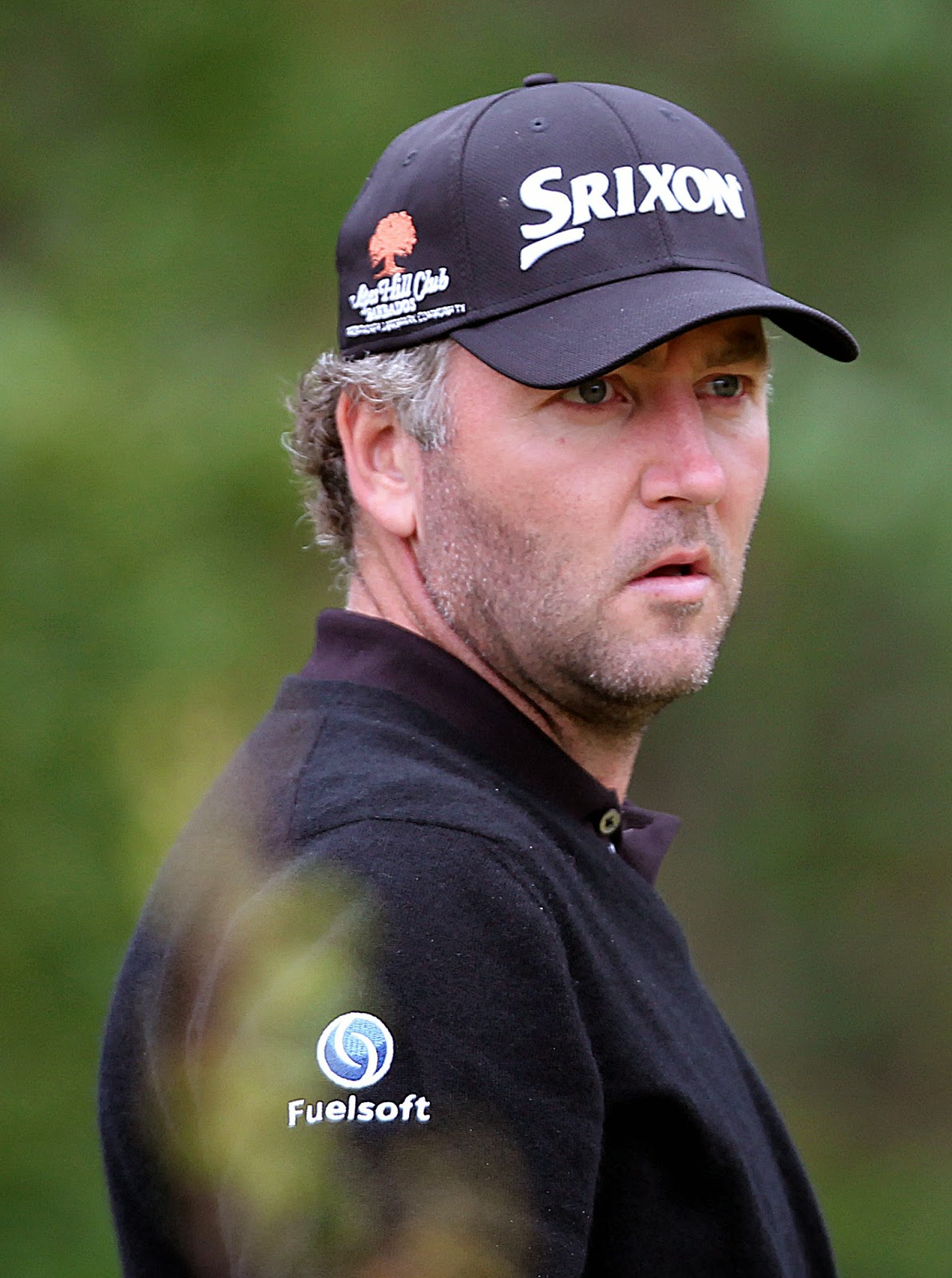 Tae Koh's Instagram, Twitter & Facebook on IDCrawl