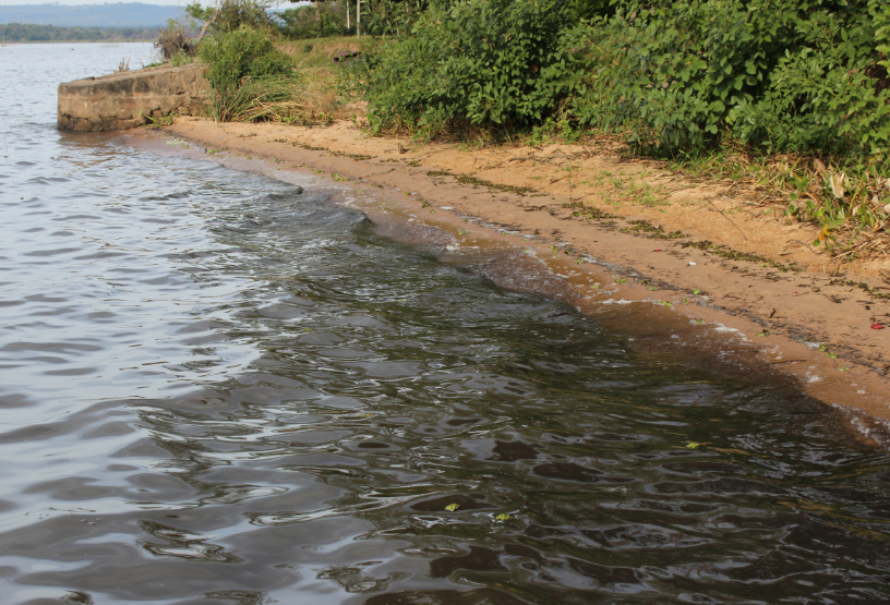 Una noche tibia nos conocimos, junto al lago azul de YPACARAI