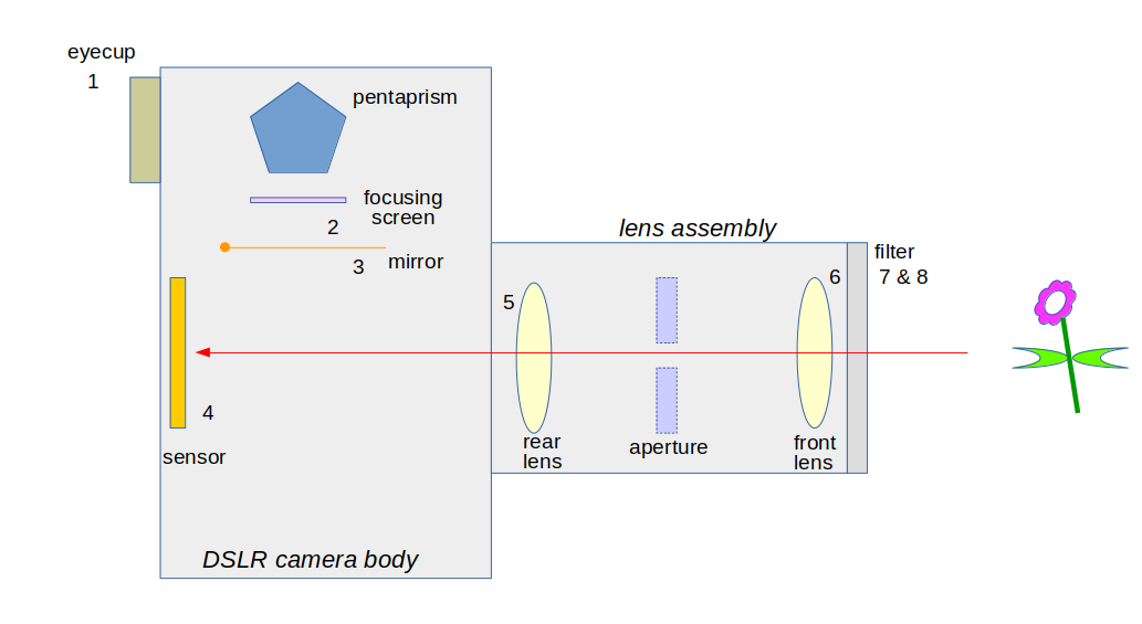Captain Bodgit: DSLR optical path: where is that spec of dust?