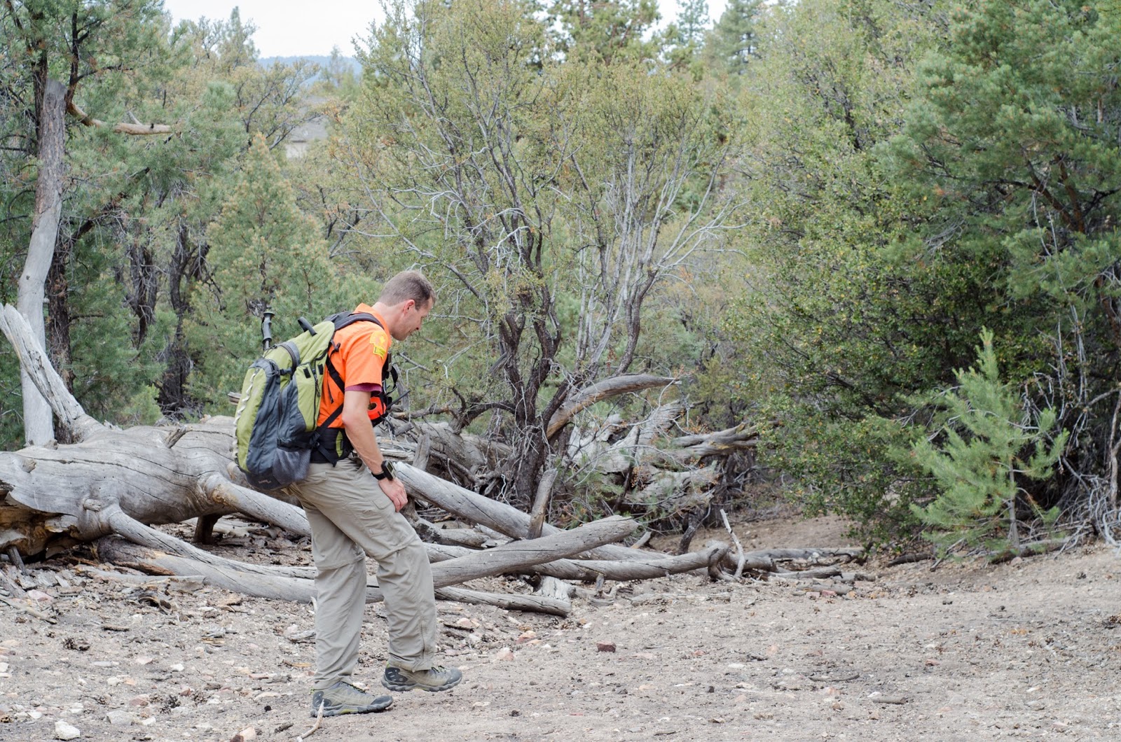 San Bernardino Cave and Technical Rescue Team: Search Problem and ELT Hunt