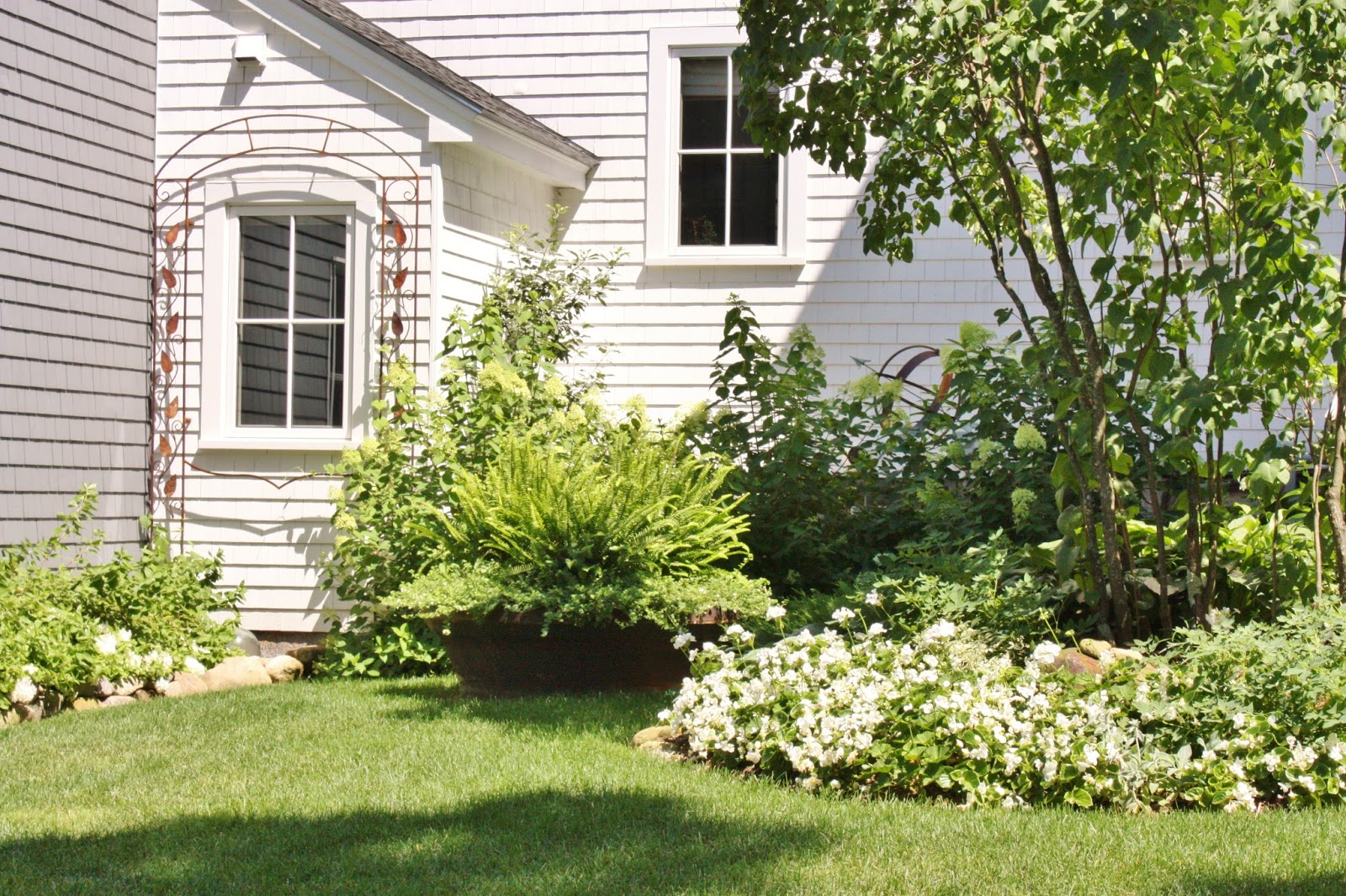 for the love of a house: the courtyard