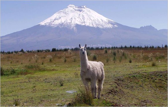 CONOCE ECUADOR: SIERRA ECUATORIANA