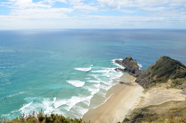 Waitaha Japan: ワイタハについて