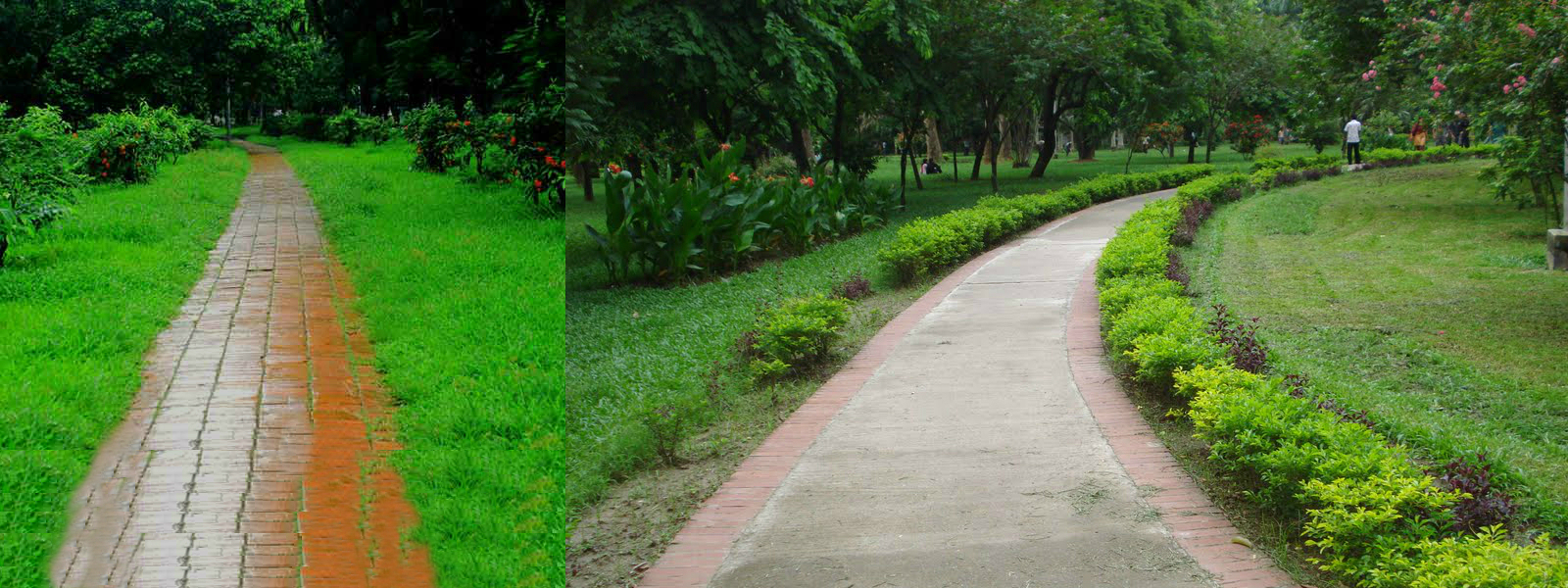 Ramna Park, the most beautiful place in Dhaka