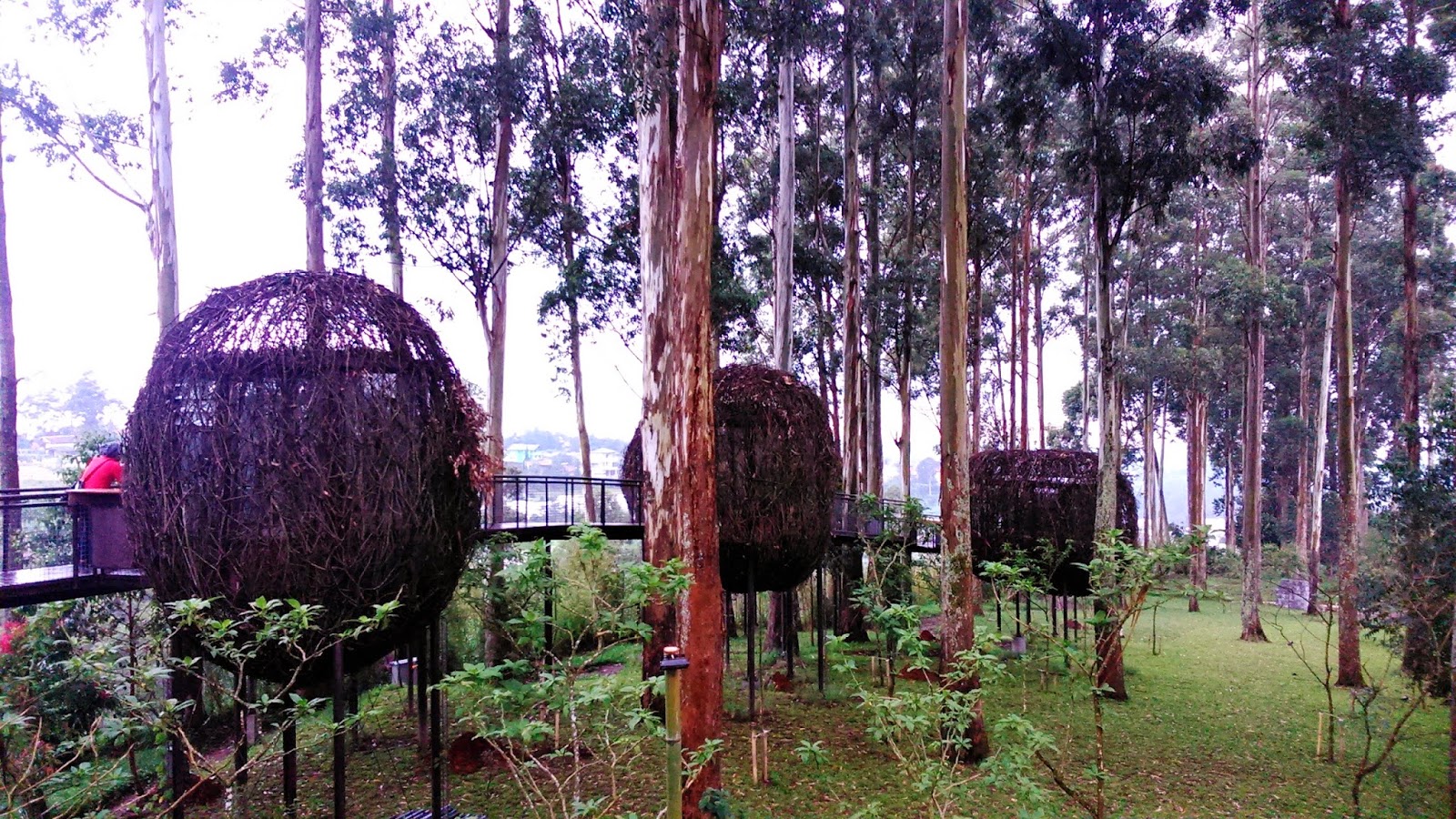 Capture's lifes moments