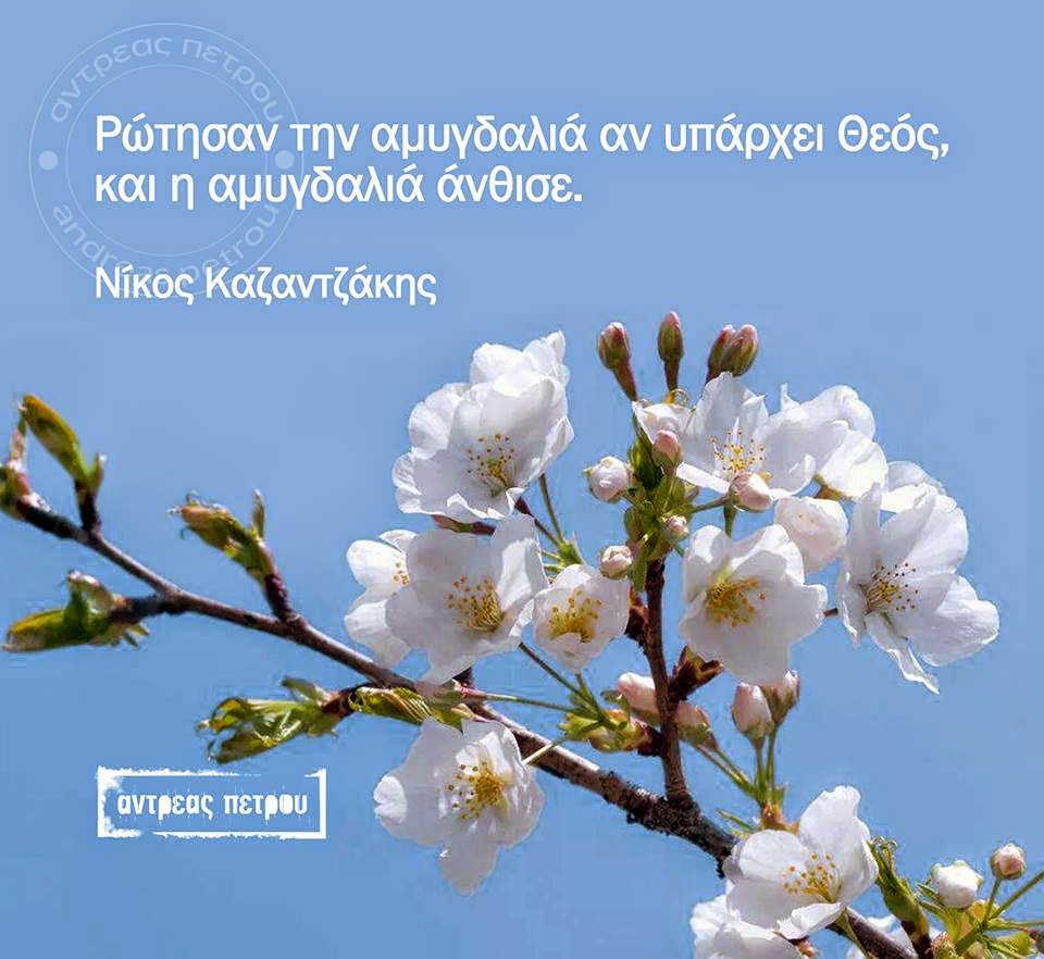 Σοφά, έξυπνα και αστεία λόγια online : Ρώτησαν την αμυγδαλιά αν υπάρχει ...