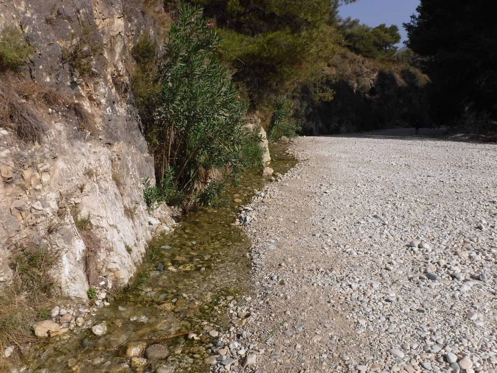 Senderismo Carlos y Petra: SENDERO RIO CHILLAR NERJA
