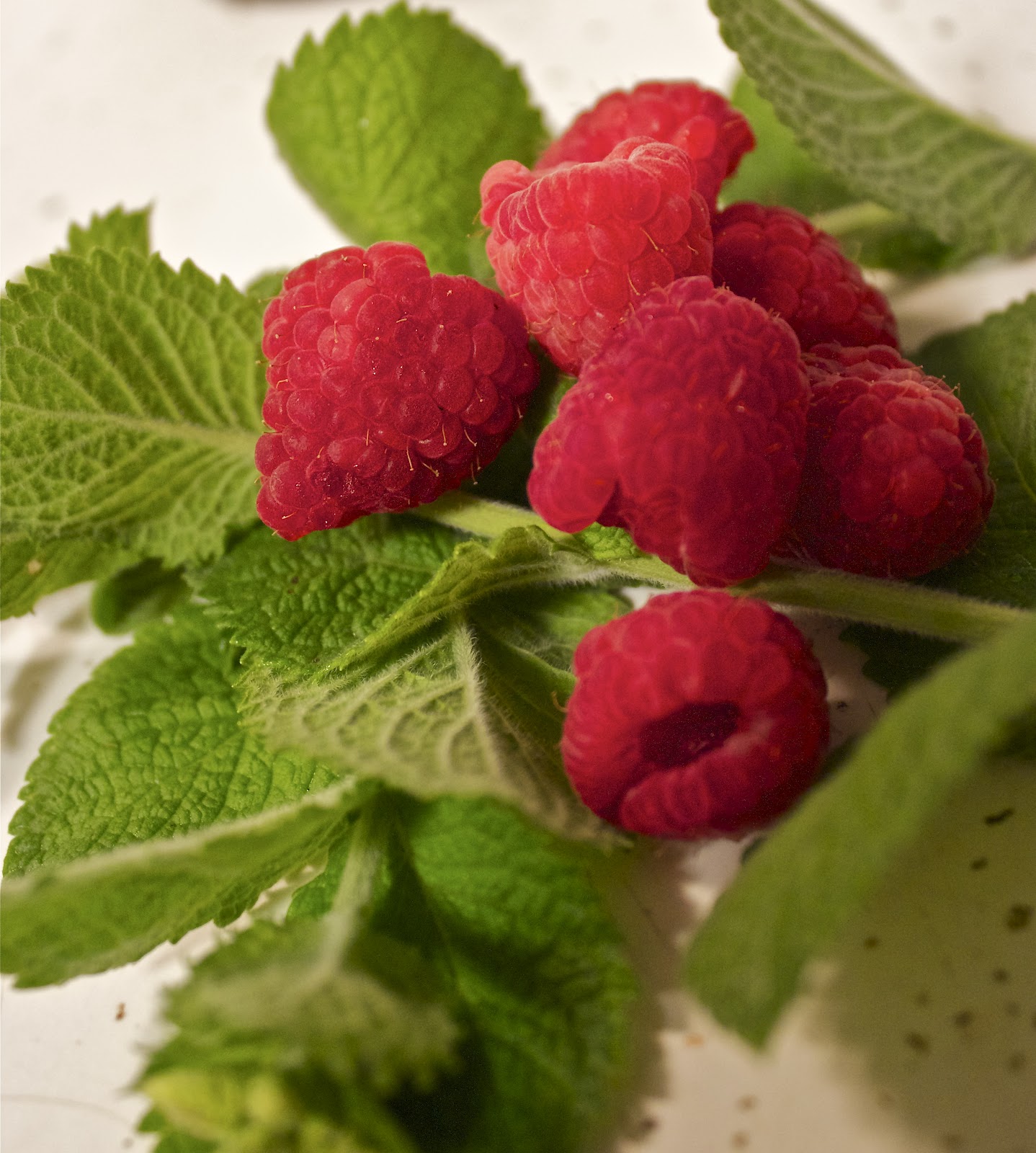 On Beyond Z: Raspberry Mint Smoothie