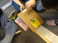 Adventures in Third Grade: Forces and Motion - Experiments