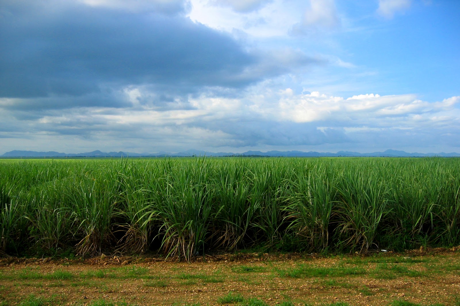 Imagenes de Paisajes de República Dominicana | Culturas, Religiones y ...