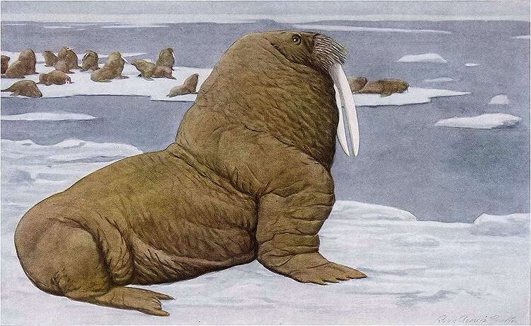 AIT Science Blog: October 2014