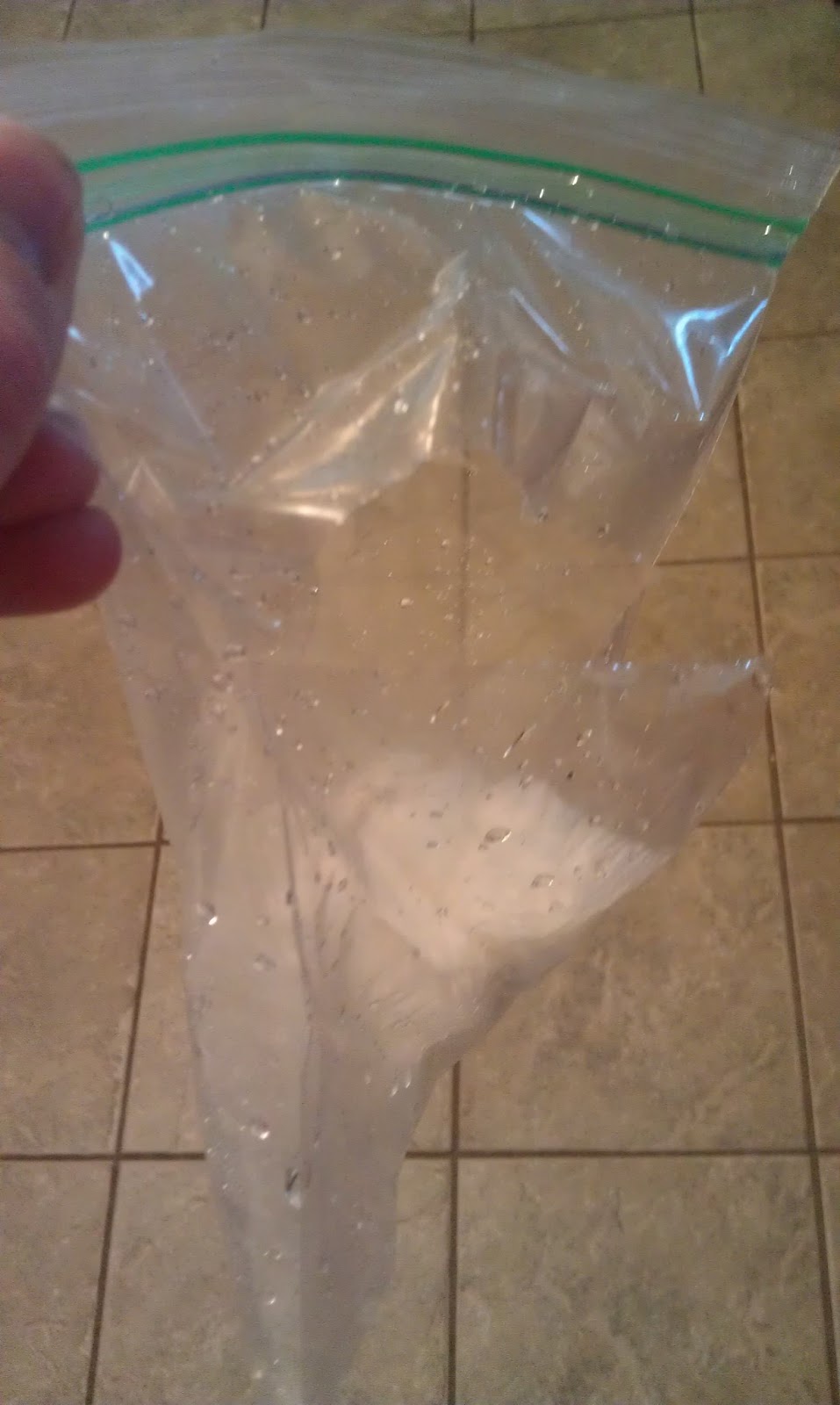 The Cool Science Dad: The Exploding Lunch Bag