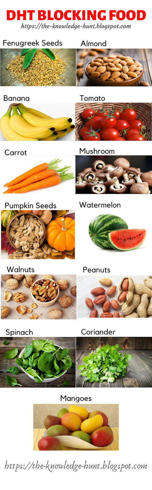 MyKnowledgeHunt.com | Towards Happy Life