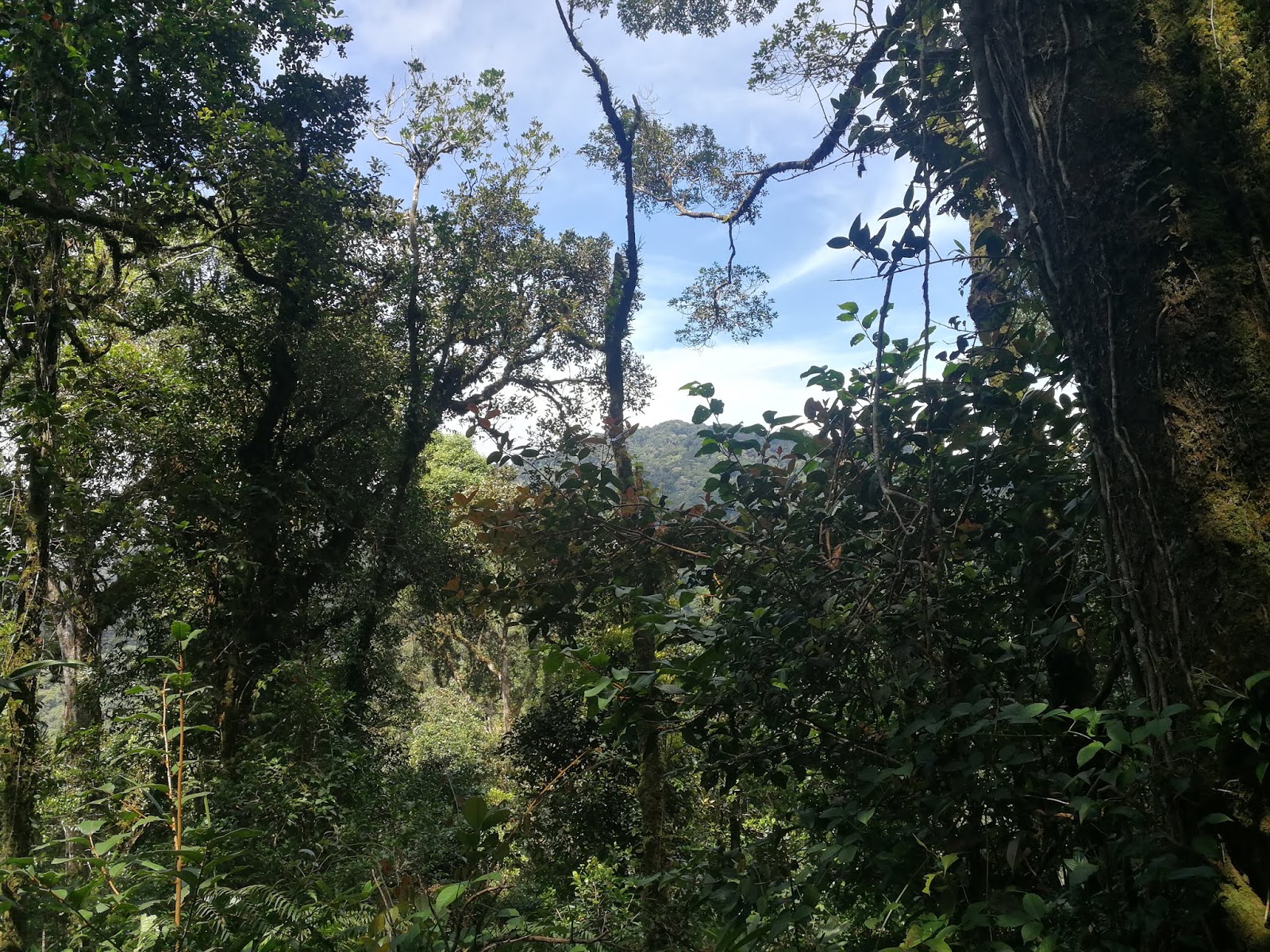 Hiking and Stuff: Gunung Tumang Batak via Gunung Liang