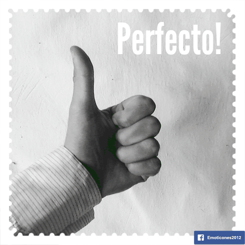 Gif animado de Perfecto!