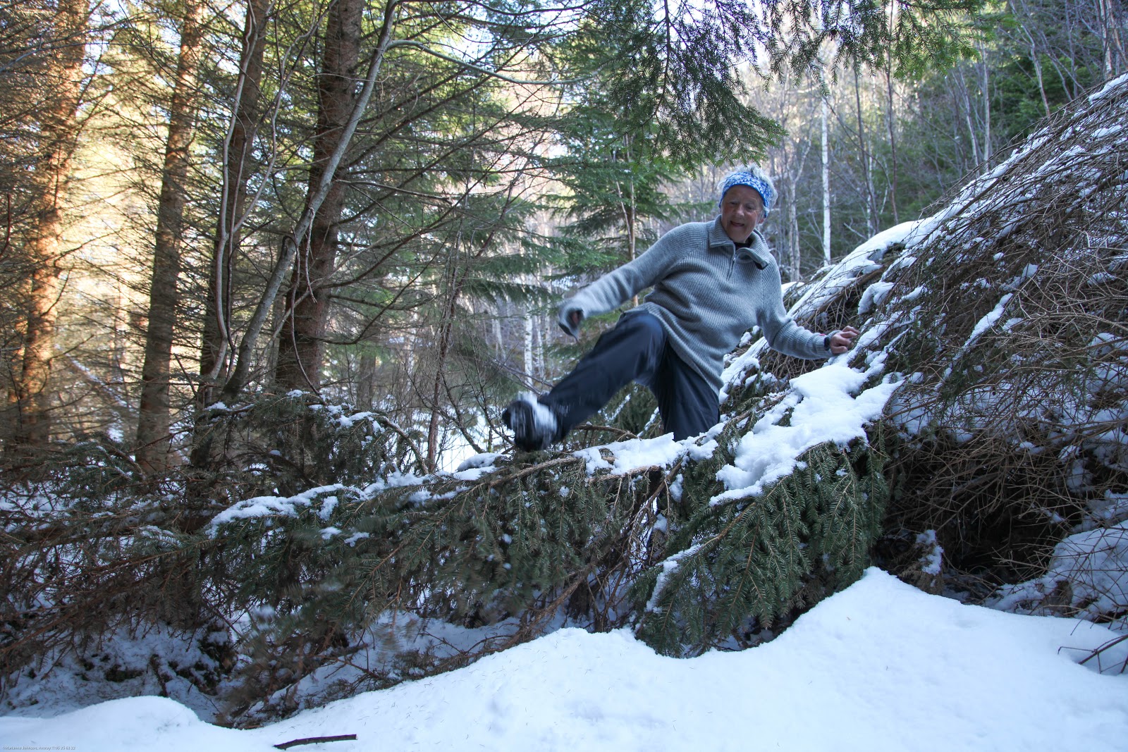 Kompassrosa : " Et hav av muligheter " i Averøy