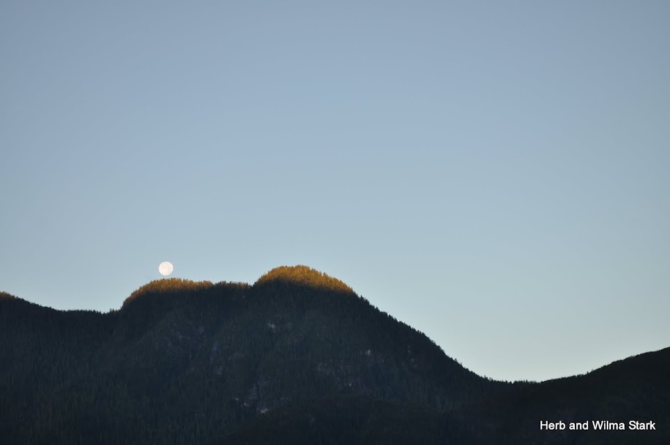 And Willie Said: Exploring Homfray Lodge - 8/3/2012