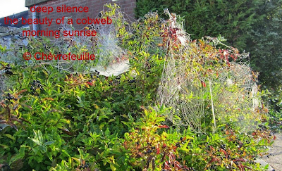 CARPE DIEM HAIKU KAI: Carpe Diem Tan Renga Challenge #94 Lee Gurga's "a ...