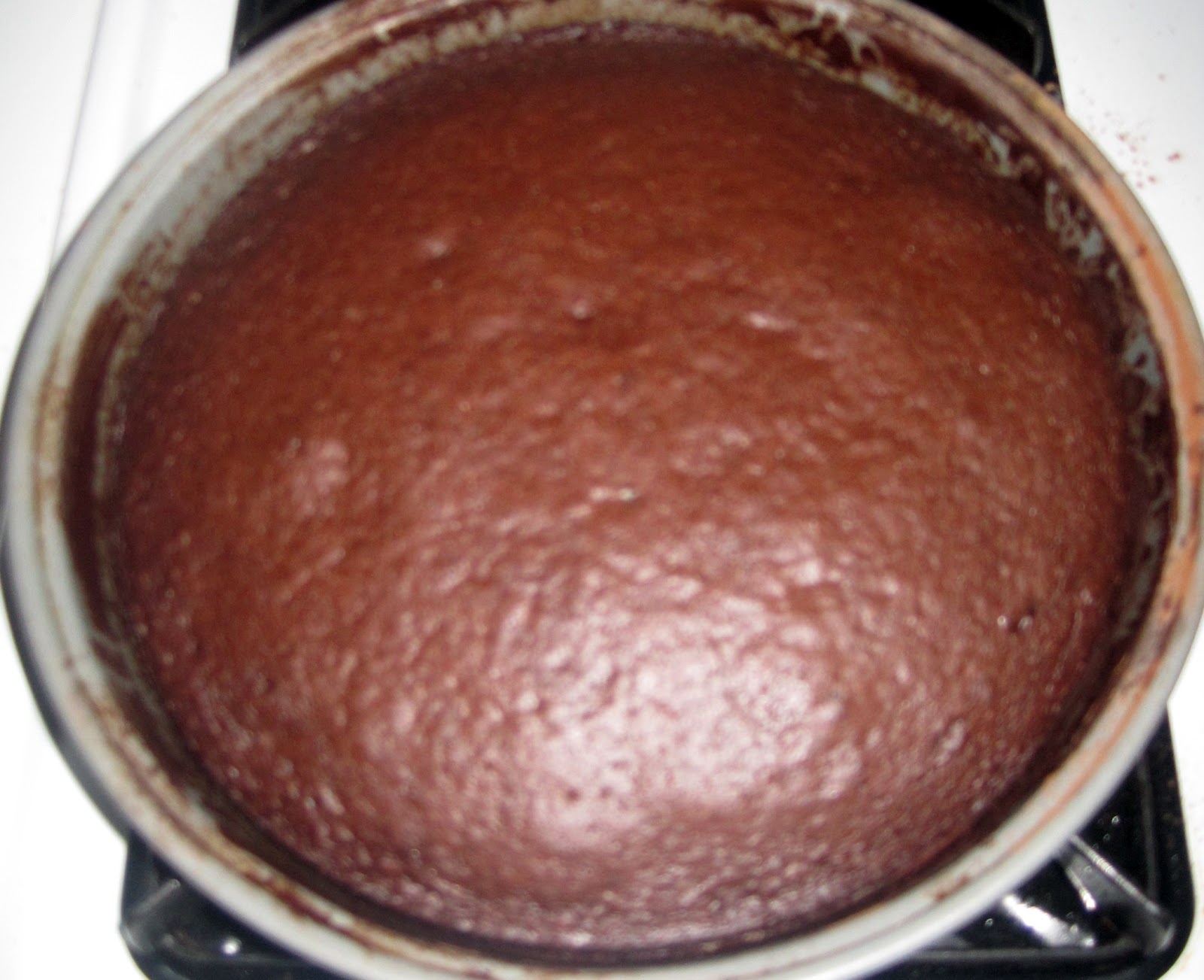 Our Young House: Chocolate (Wasted, Dump, or Suicide) Cake