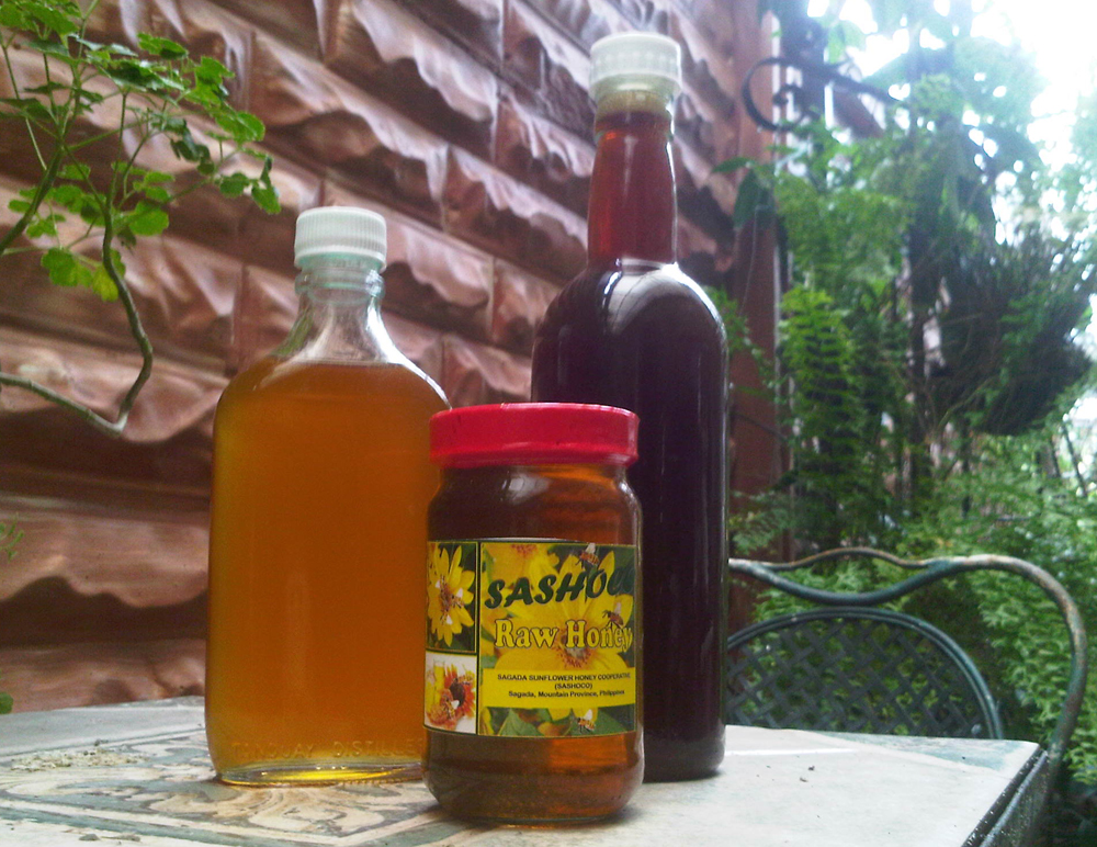 GreenHearts: Raw vs. Processed Honey