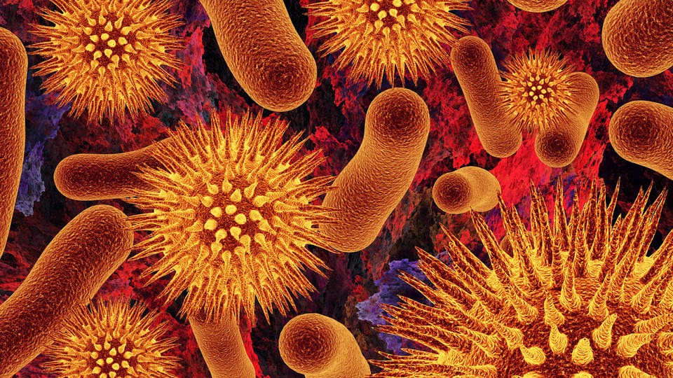 Microbiología: Géneros Bacterianos