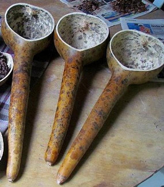 Dispatches from the LP-OP: Singleton remembers the bygone days of the ...