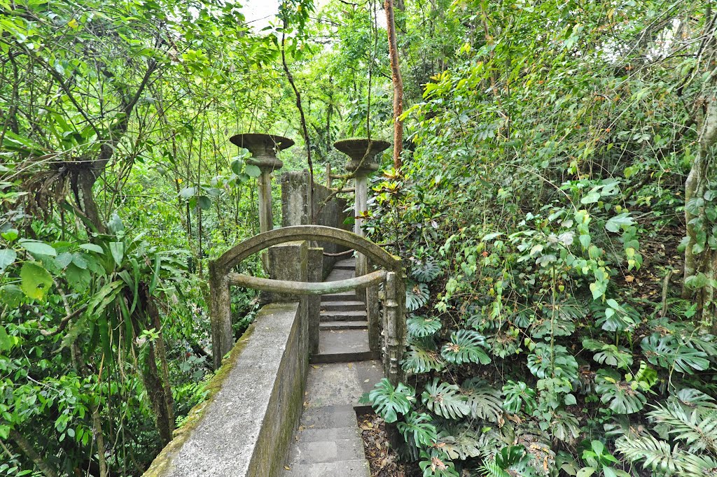 Las Pozas um Jardim Surreal na Selva do México VIAJAR é alargar os ...
