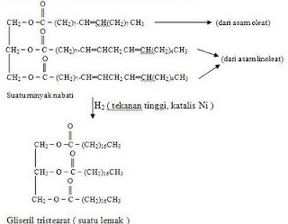 Lemak ~ Blog Kimia MAN 2 Klaten