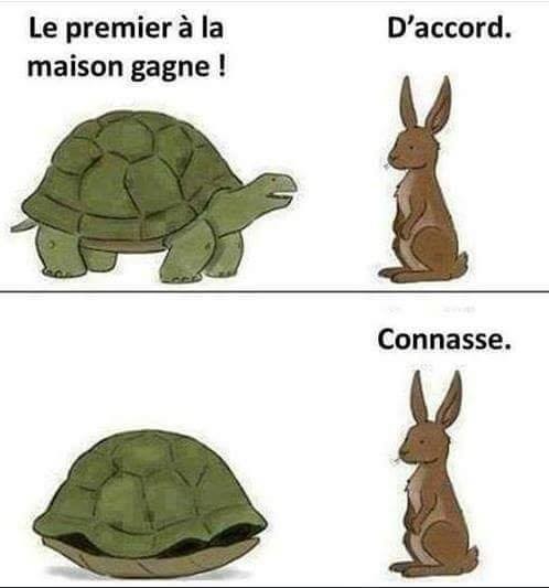 Coq Humour Image | Humourve